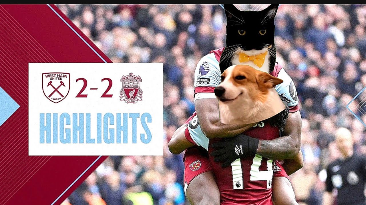 CAT MEMES: West Ham United VS Liverpool 2 - 2 | EPL2023/24 Highlights I ...