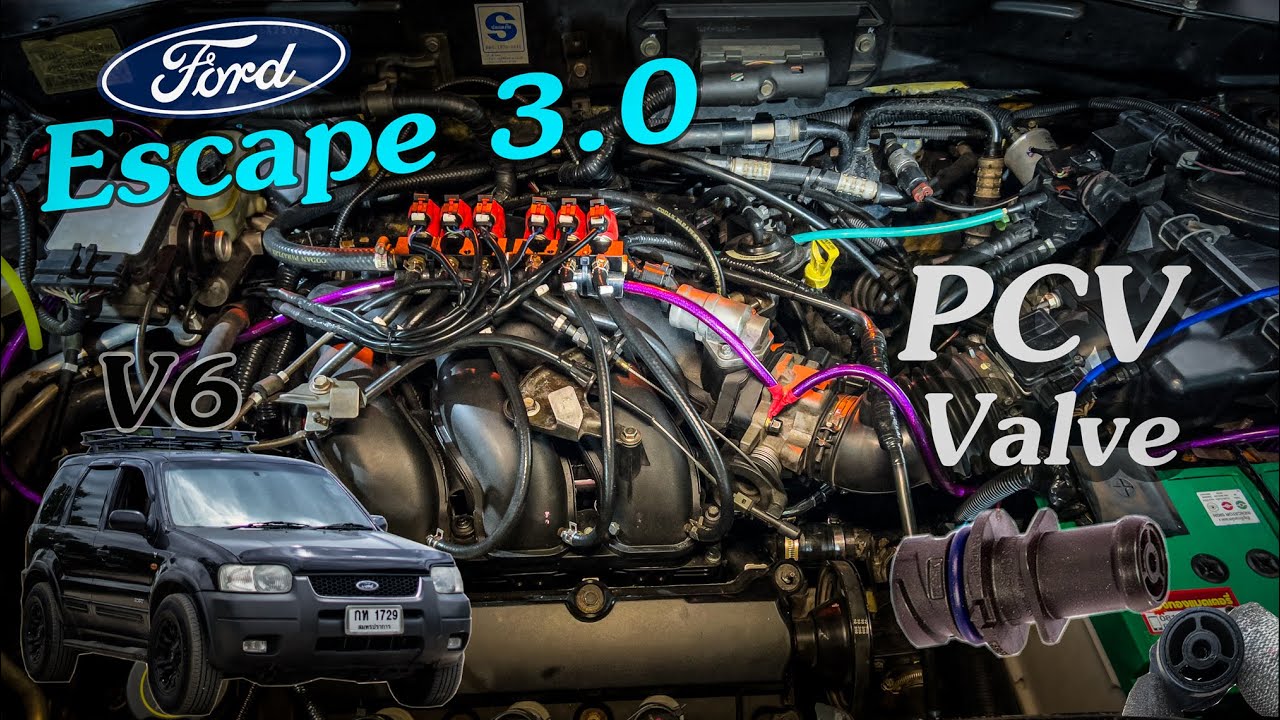 Ford Escape Check PCV Valve and Clean Air Flow IAC TP เช็คอุปกรณ์ก่อน ...