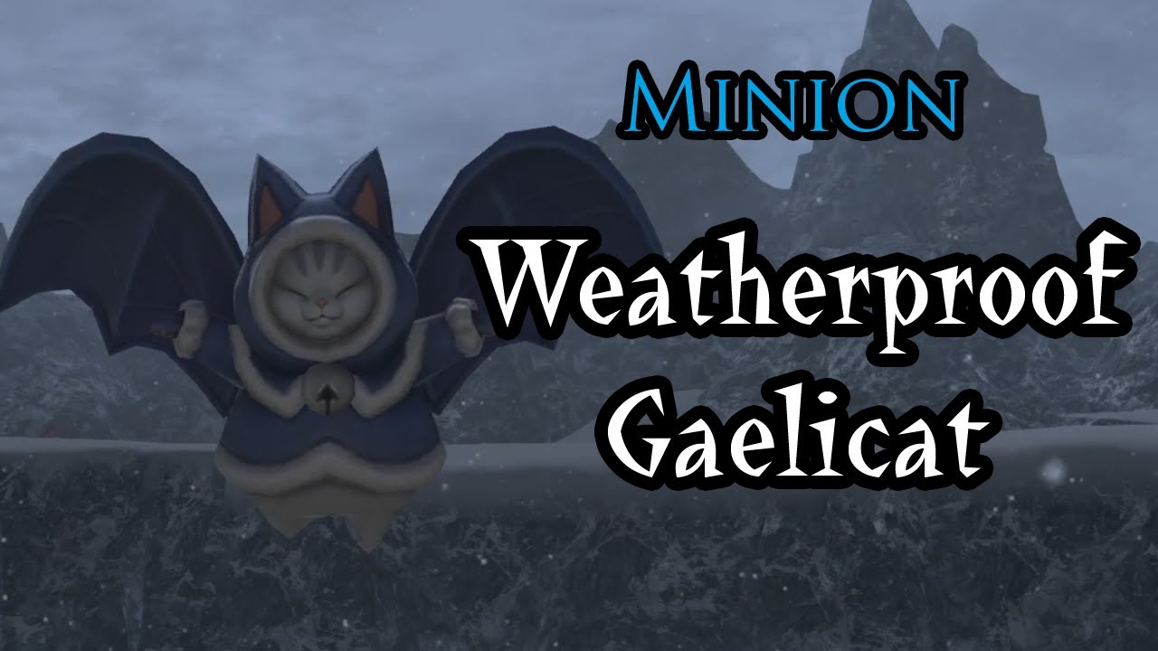 [FFXIV] Weatherproof Gaelicat minion - YouTube
