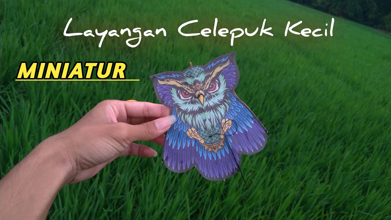 Membuat miniatur layangan celepuk kecil yang lucu. - YouTube