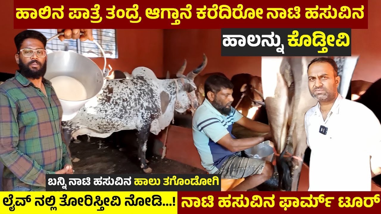 Kodachadri A2 Milk and A2 Ghee Outlet Store In Malleshwaram Bengaluru | A2 Desi Milk | A2 Ghee ...