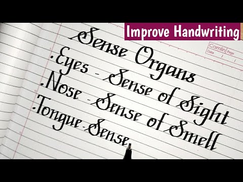 Neat and clean sharp edge cursive handwriting/Human Sense Organs/Learn ...