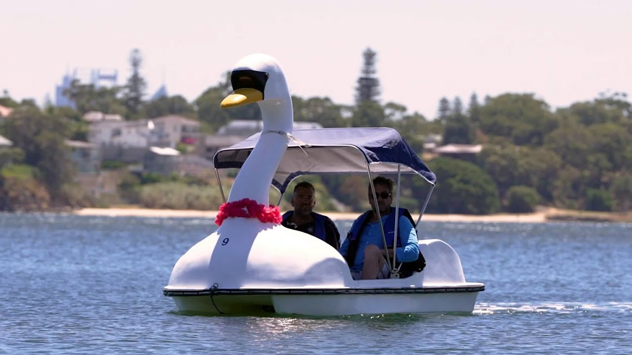 Destination WA - Swans on the Swan - YouTube