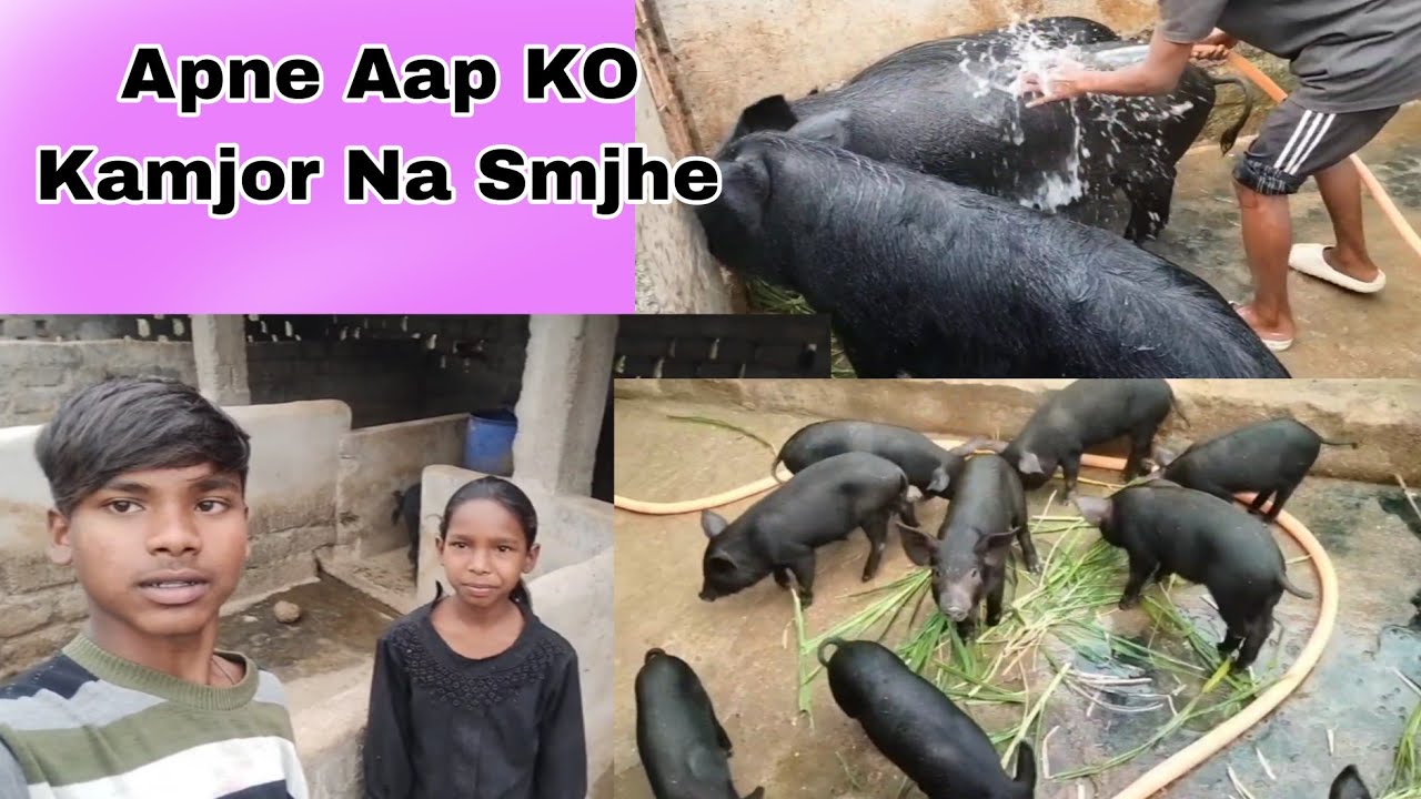 Apne Aap KO Kamjor Na Smjhe C o 9123160121 - YouTube