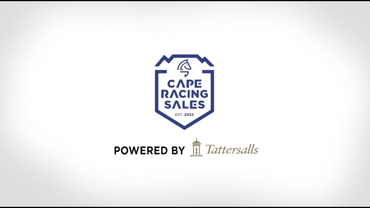 Cape Racing Sales Cape Premier Yearling Sale powered by Tattersalls ...