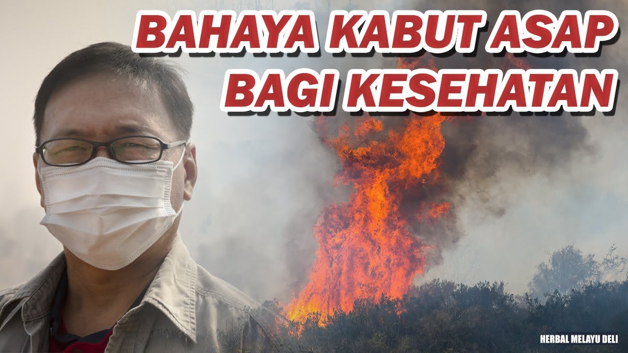 Bahaya Akibat Menghirup Asap Kebakaran Hutan - Bahaya Kabut Asap Bagi ...
