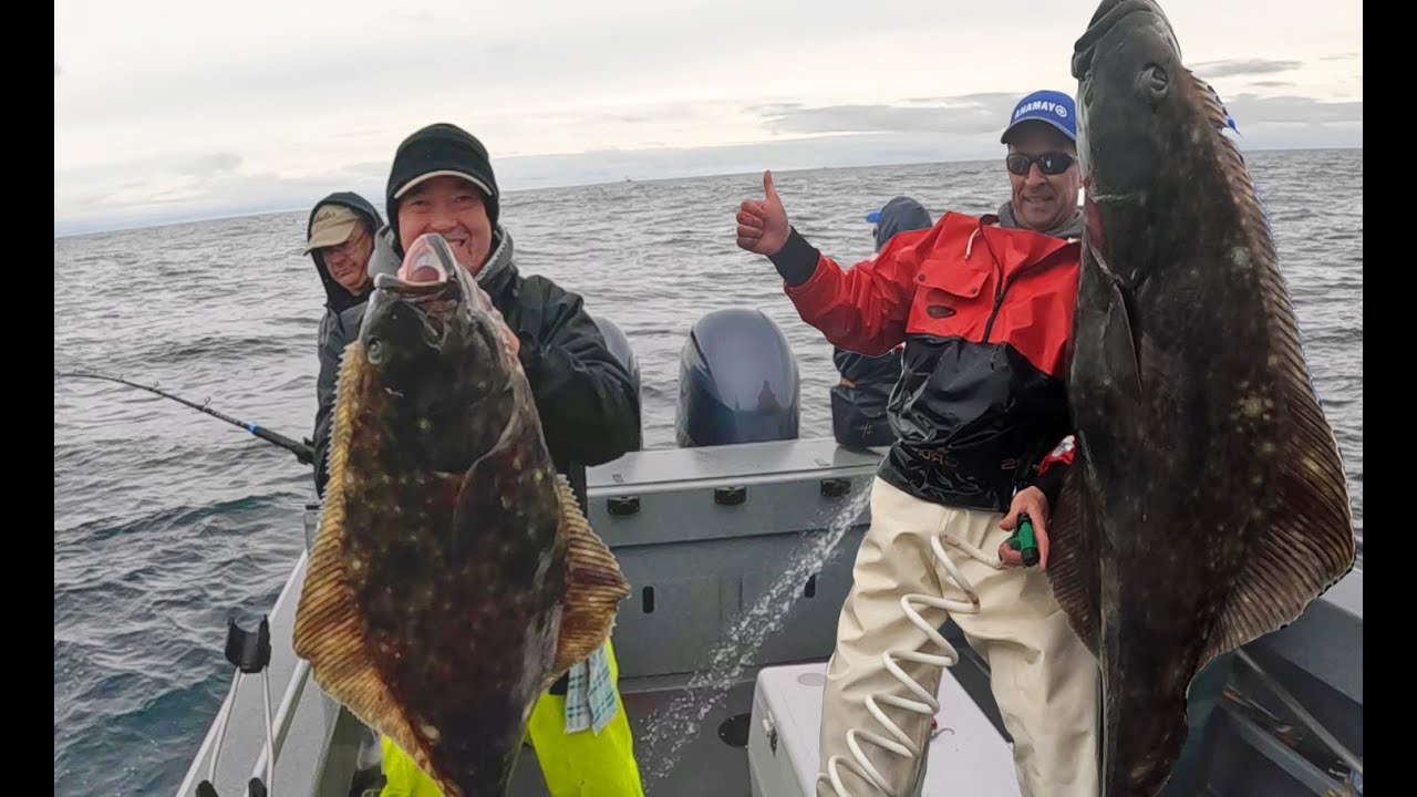 162lbs of Westport Halibut on Opening Day. We Like Big Butts & We ...