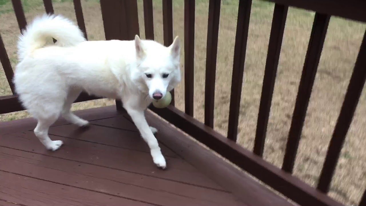 Sand ASMR + Micah Playing Soccer - YouTube