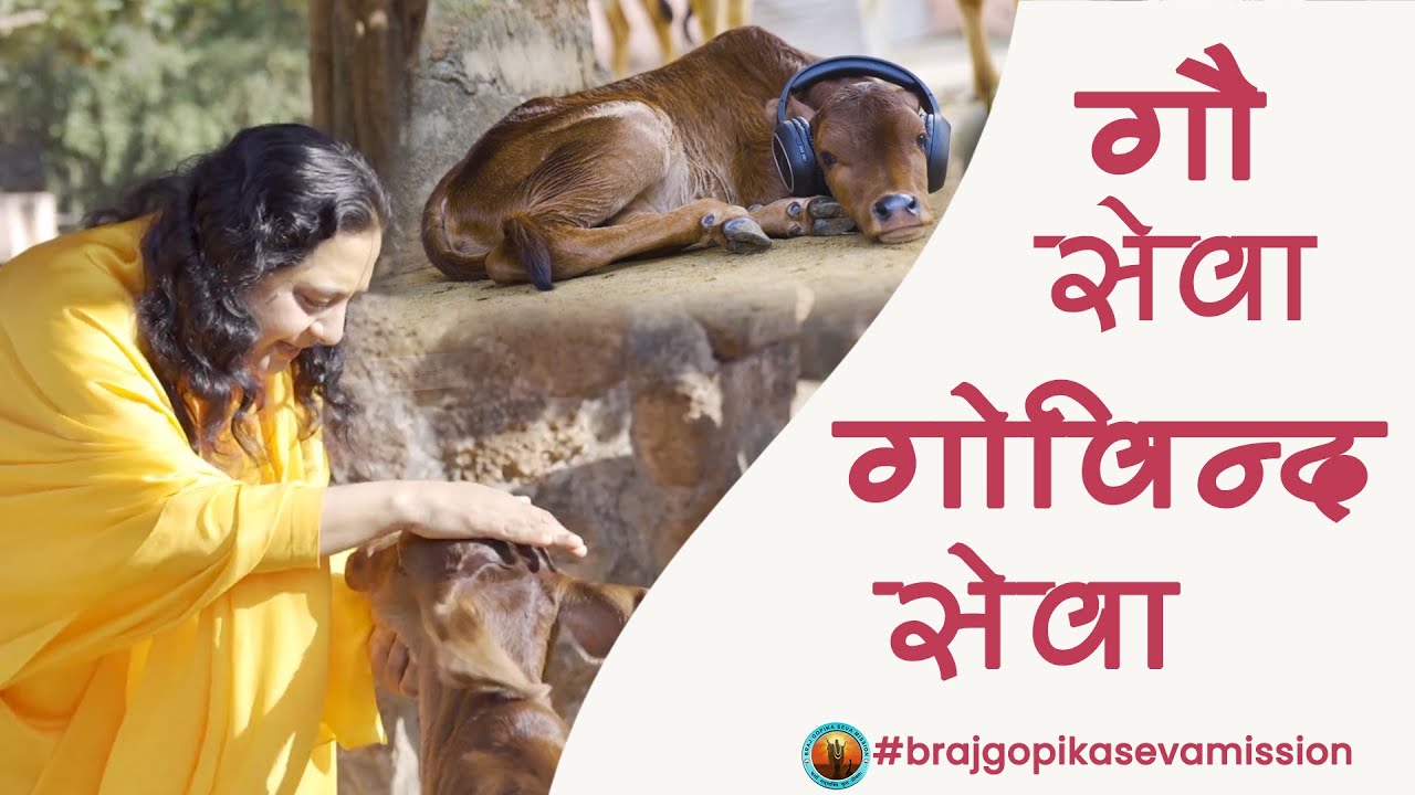 Gou Seva Govind Seva - The Tradition of Sanatan Dharma || Braj Gopika ...