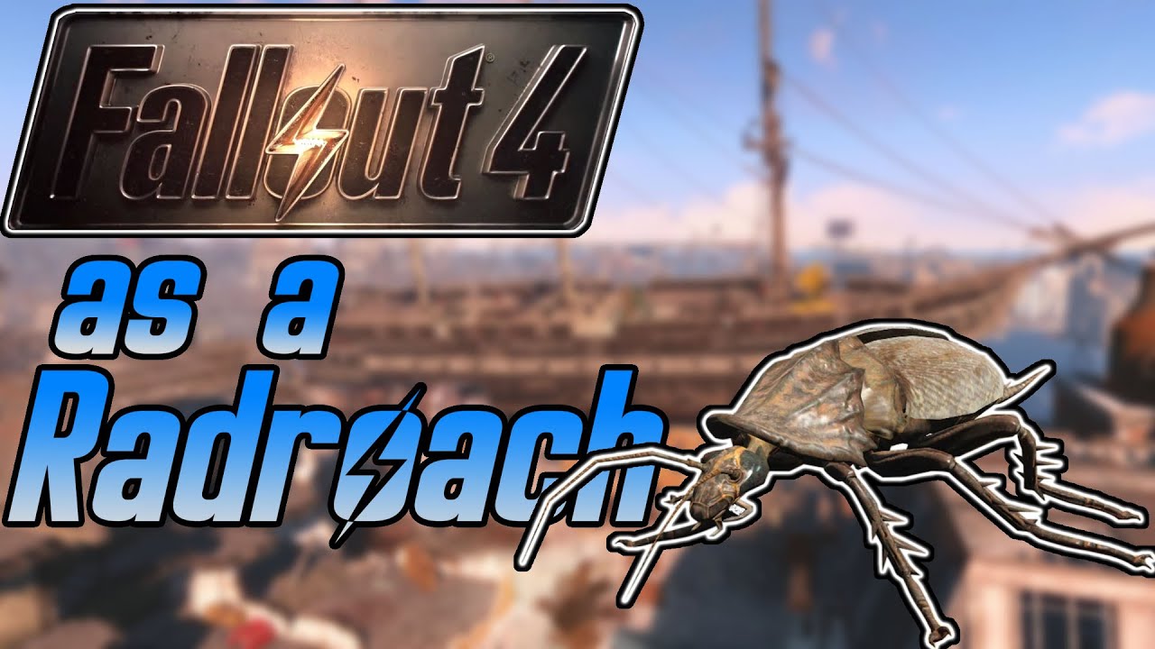 Can you beat Fallout 4 as a Radroach? - YouTube