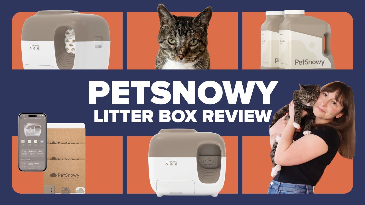 PetSnowy Self Cleaning Automatic Litter Box Review - YouTube