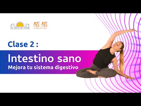 Desafío Yoga 360 | Día 2 Intestino sano