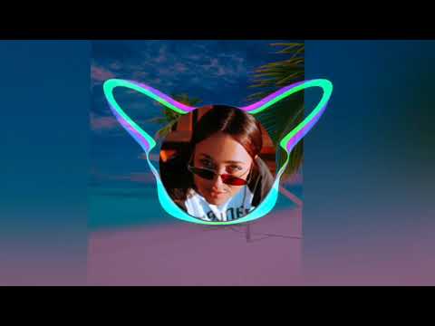 Shawn mendes e camila cabello - senorita- status