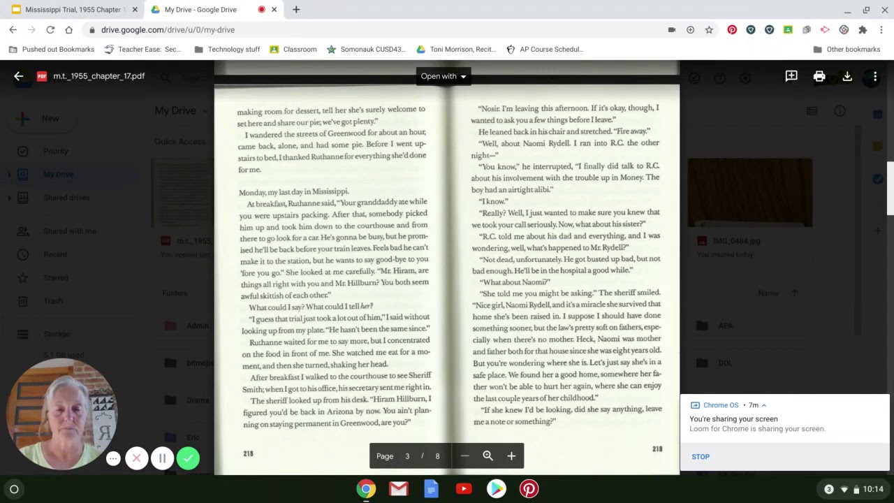 Mississippi Trial, 1955 Chapter 17 reading - YouTube