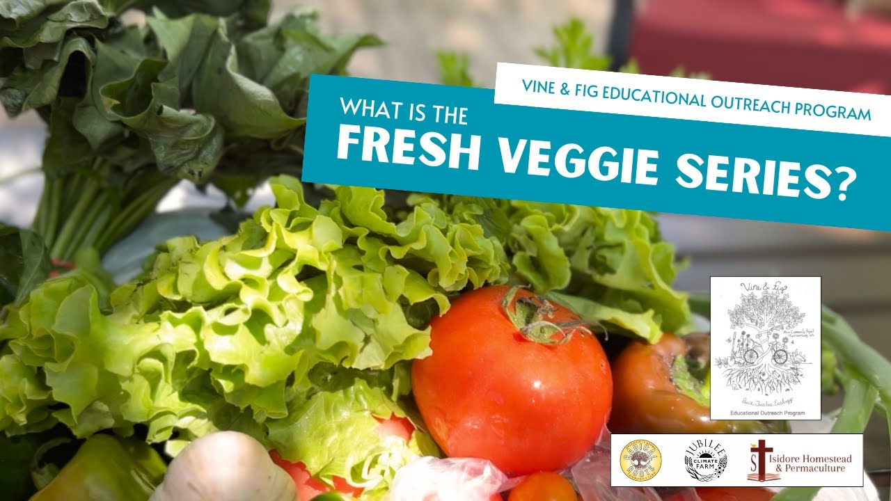 What is the Fresh Veggie Series? - YouTube