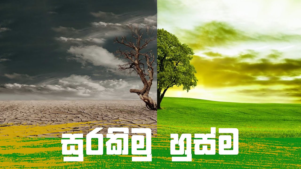 Surakimu Husma | Parisaraya Surakimu | Protect Environment | Sri Lanka ...