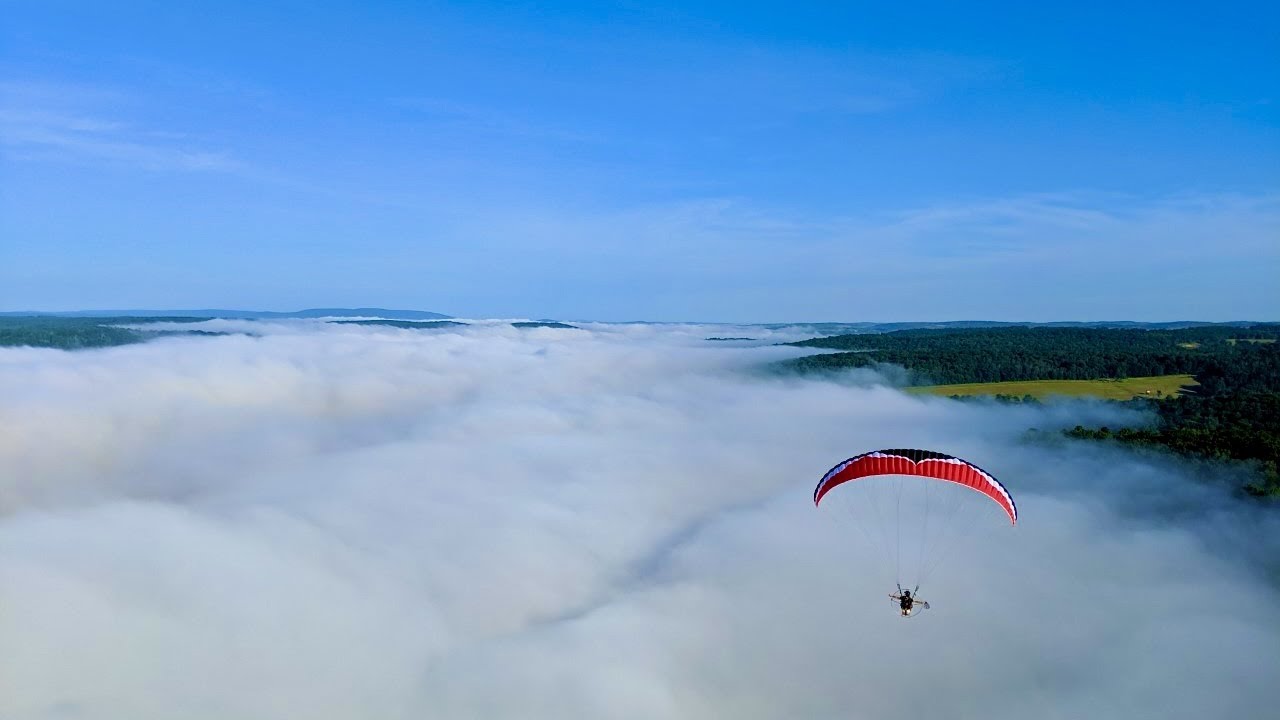 When your Best Friend learns how to Fly.... - YouTube