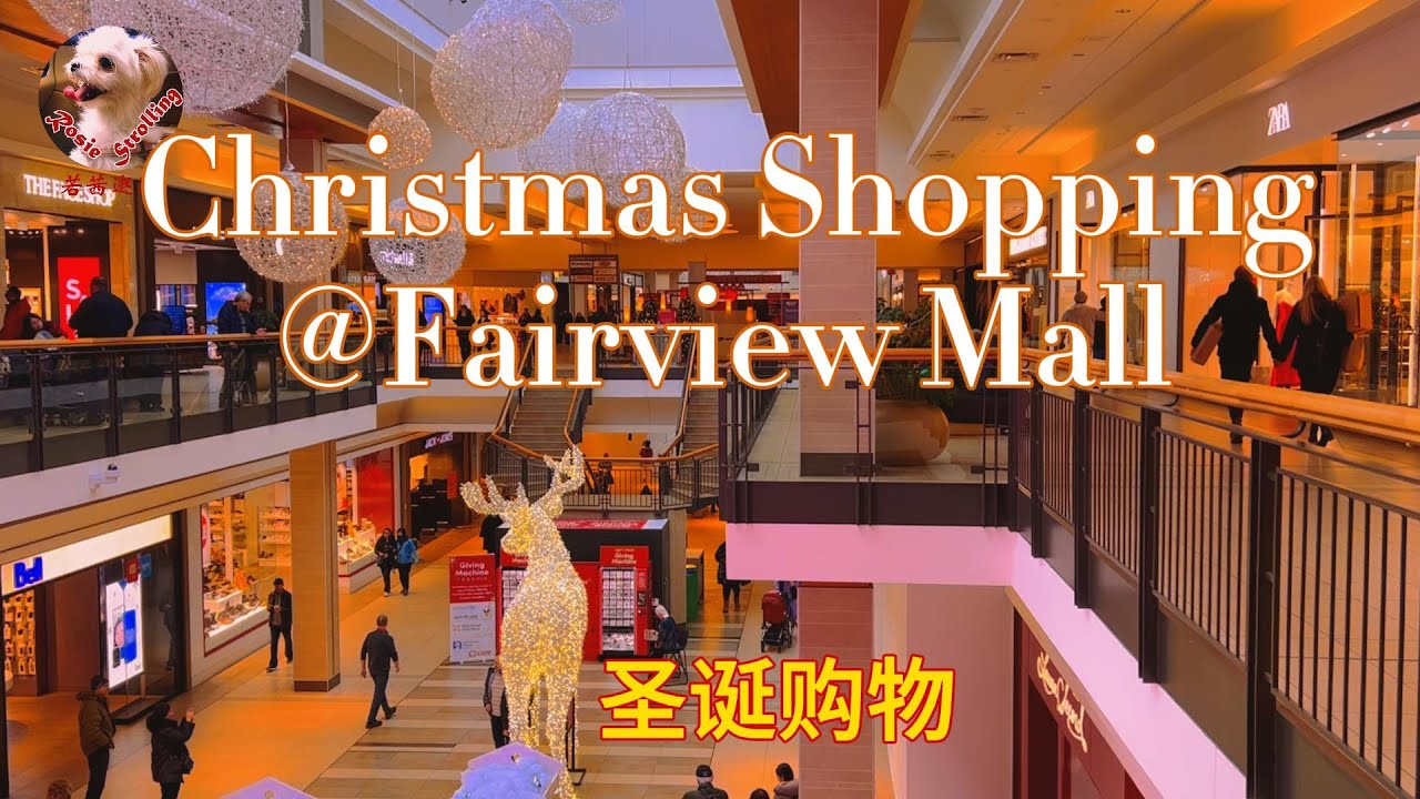 🇨🇦 Christmas shopping at Fairview Mall, Toronto 逛大统华新店，看圣诞商超 - YouTube