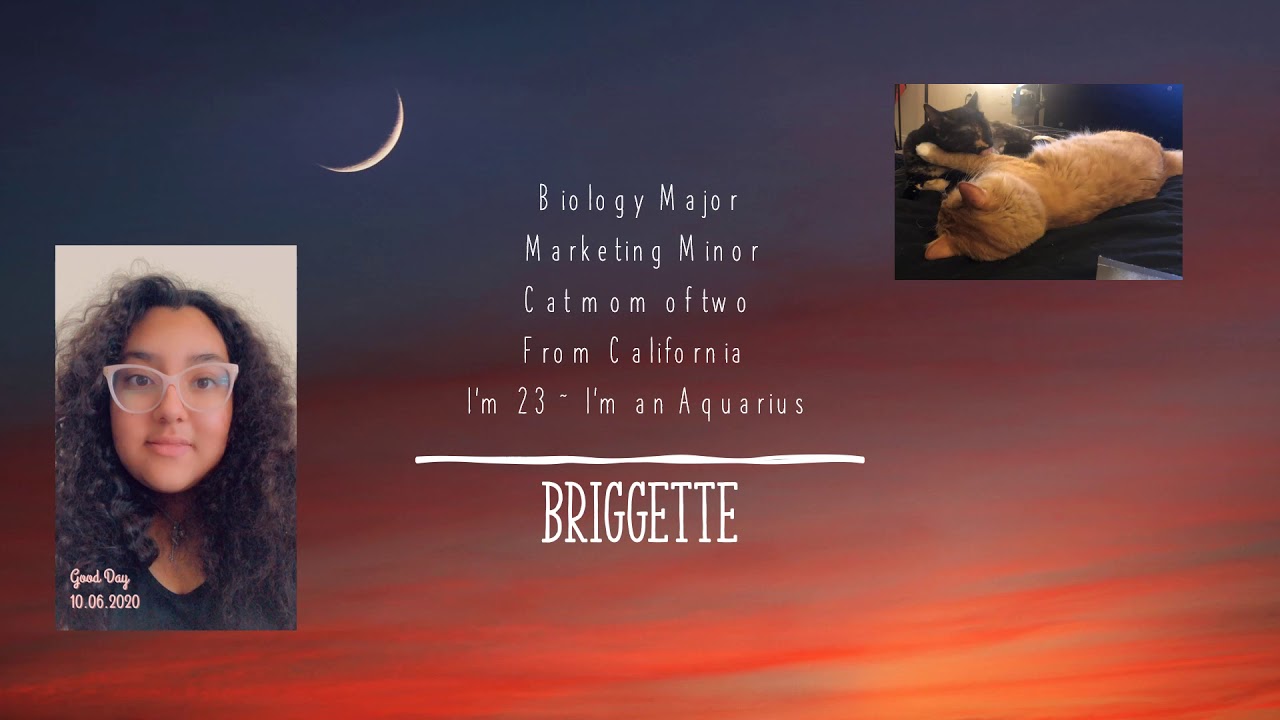 Briggette - International Marketing - YouTube