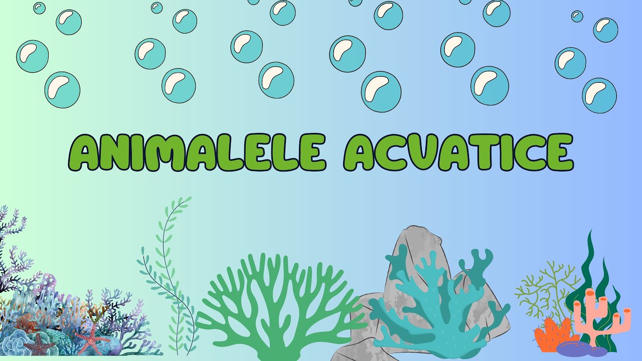 Animalele Acvatice | Animalele din apa | Video educativ pentru copii ...