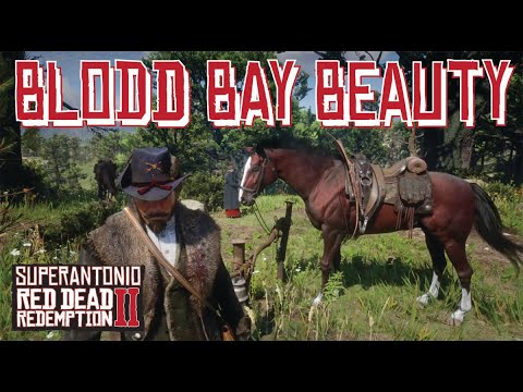 How To Find Arthur a Blood Bay Thoroughbred Race Horse in Red Dead ...