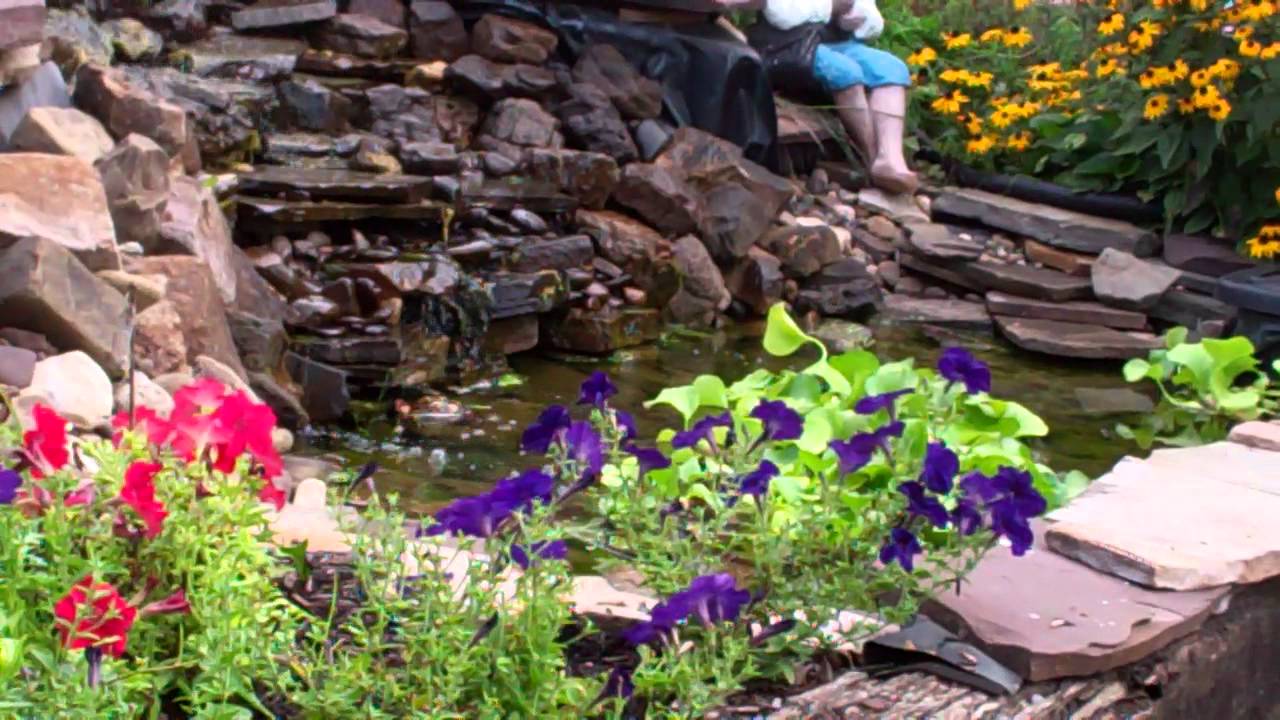 Part 1 of 10 Wild eastern box turtle story, box turtle care, rehab and ...