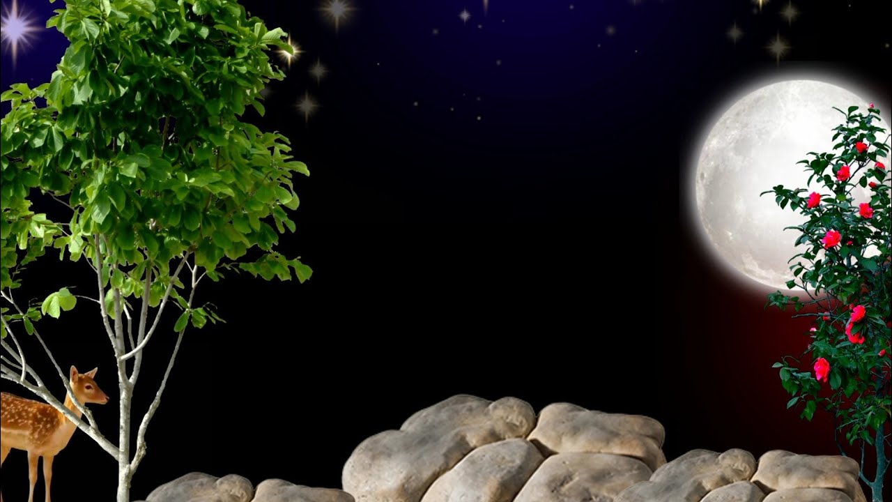 Free Animated Background Video / New Background Video Effects hd ...