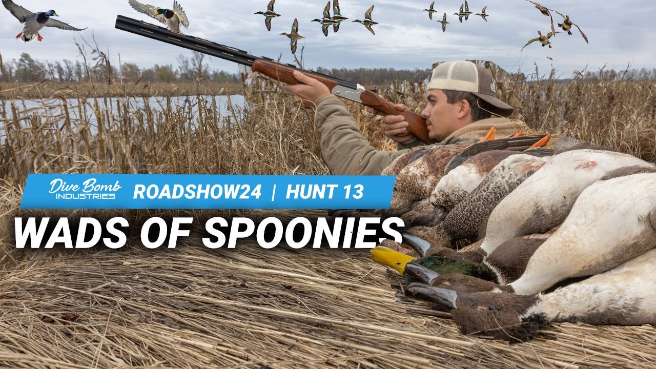 OPENING DAY AT THE DIVE BOMB PROPERTY: Flooded Corn Mixed Bag Duck Hunt ...