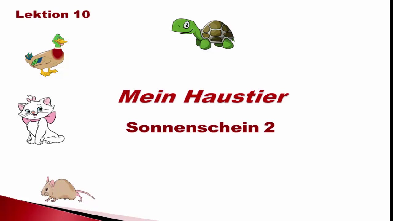 Lektion 10 (Die Haustiere) - YouTube