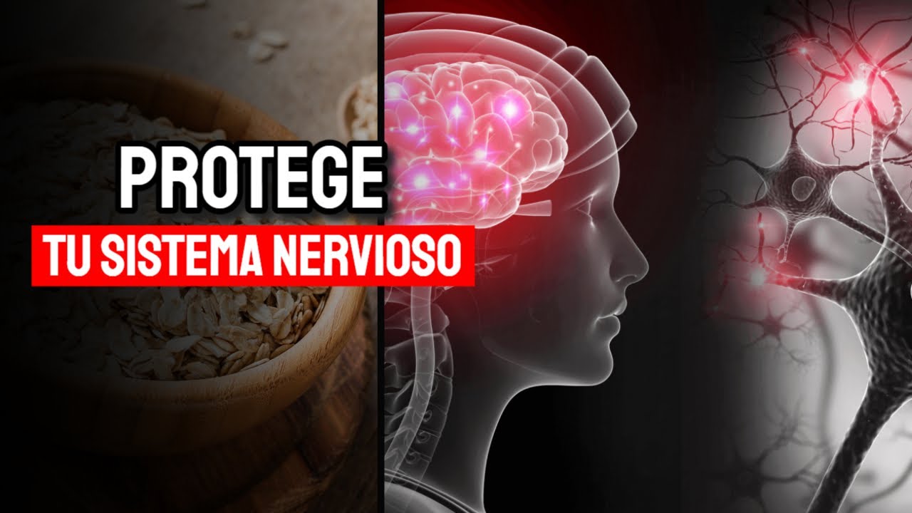 Beneficios De LA AVENA En Hojuelas - AVENA CRUDA Beneficios Y ...