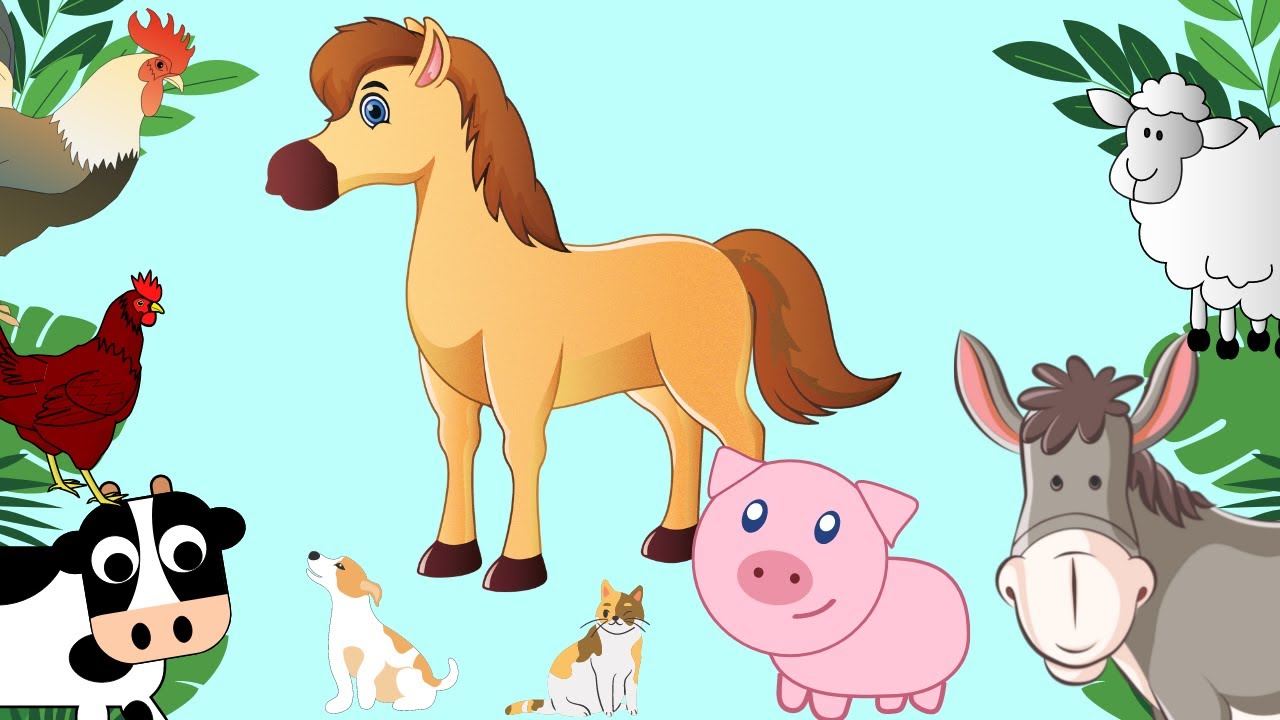 Animale reale de la ferma Sunete reale (Real farm animals ) Cal, Vaca ...