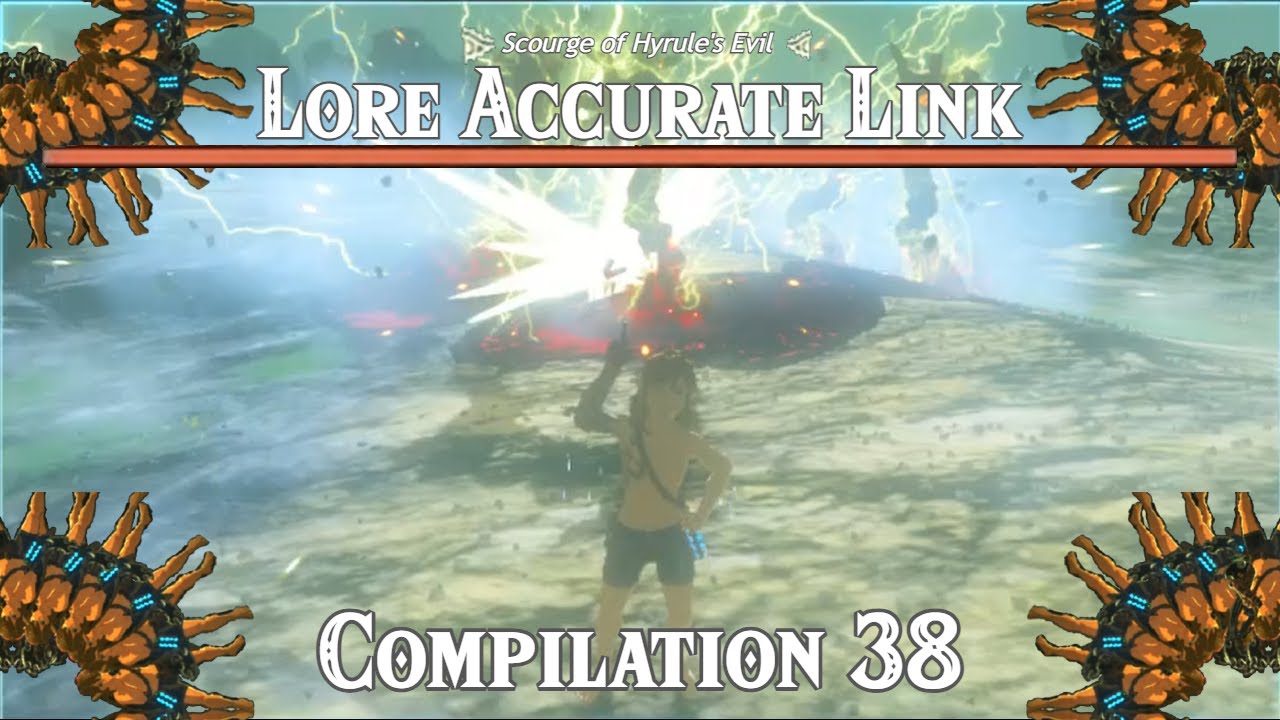 The Scourge of Hyrule's Evil: Lore Accurate Link Compilation 38 - YouTube