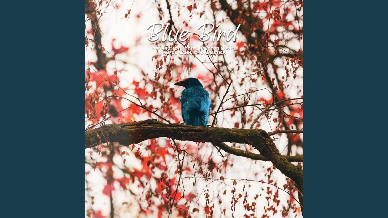 Blue Bird - YouTube