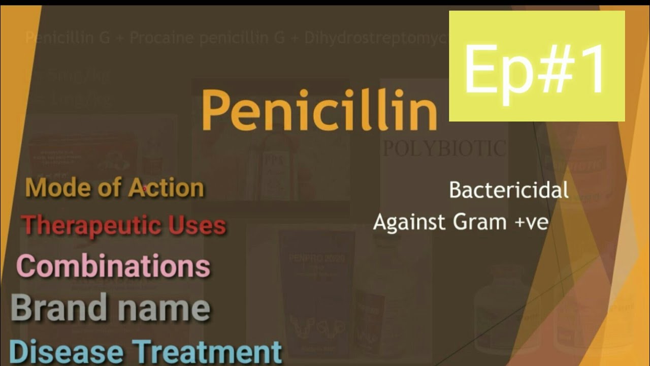 Penicillin | Mode of Action | Therapeutic uses | Brand name - YouTube