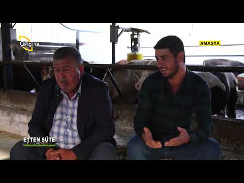 Büyükbaş Hayvan Yetiştiriciliği- Etten Süte / Çiftçi TV