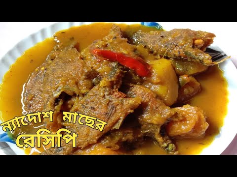 ওপার বাংলার অতি জনপ্রিয় একটি রান্না | ন্যাদোশ মাছ দিয়ে কুমড়োর রেসিপি ...