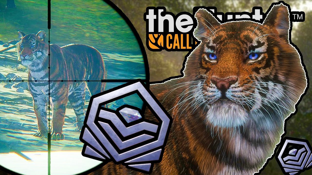 A CRAZY DREAM TROPHY! *SUPER RARE* DIAMOND PSEUDO MELANISTIC BENGAL ...