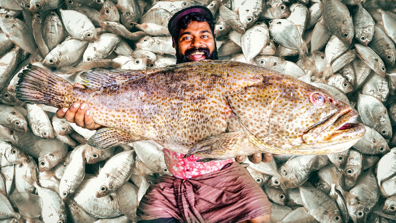 Sayalgudi Dry Fish Factory | ഉണക്കമീൻ ഉണ്ടാകുന്നത് കണ്ടിട്ടുണ്ടോ | M4 ...