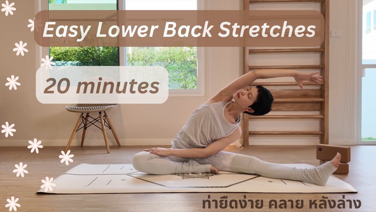 20 Minutes Lower back stretching for beginners, no equipment | ยืดหลัง ...