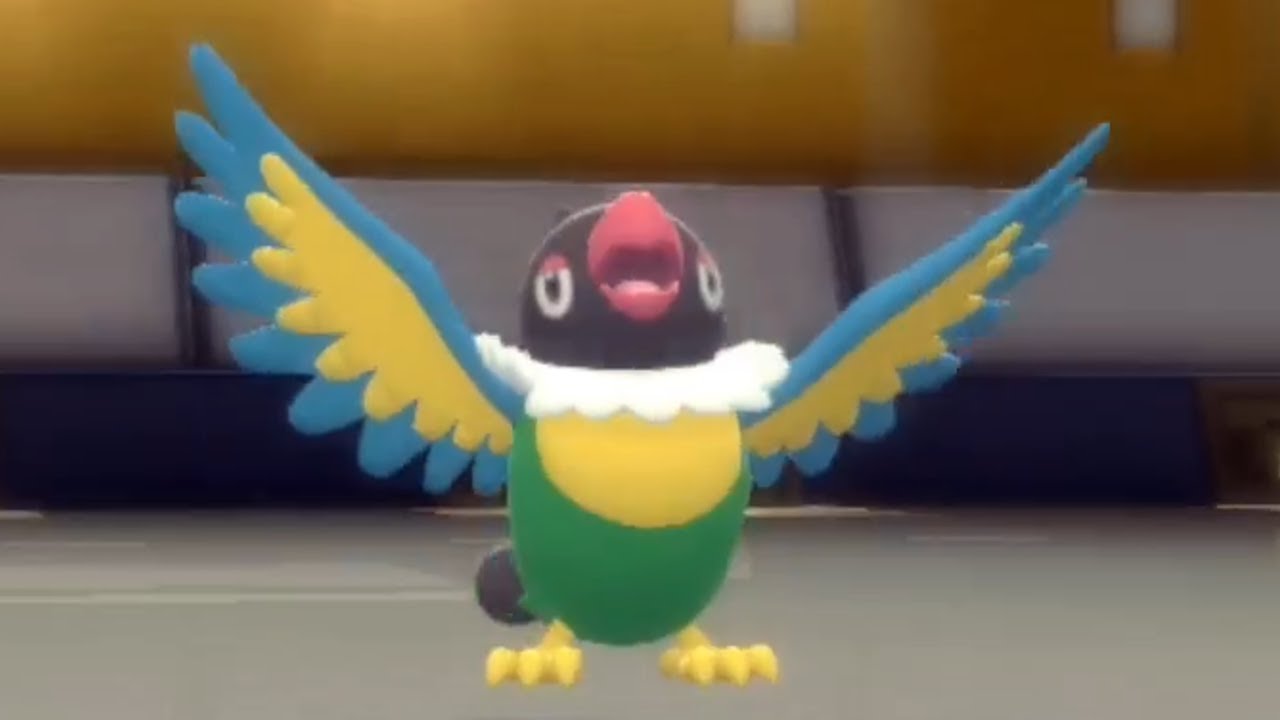 Chatot Hits Em With a Chatter | Pokemon Brilliant Diamond & Shining ...