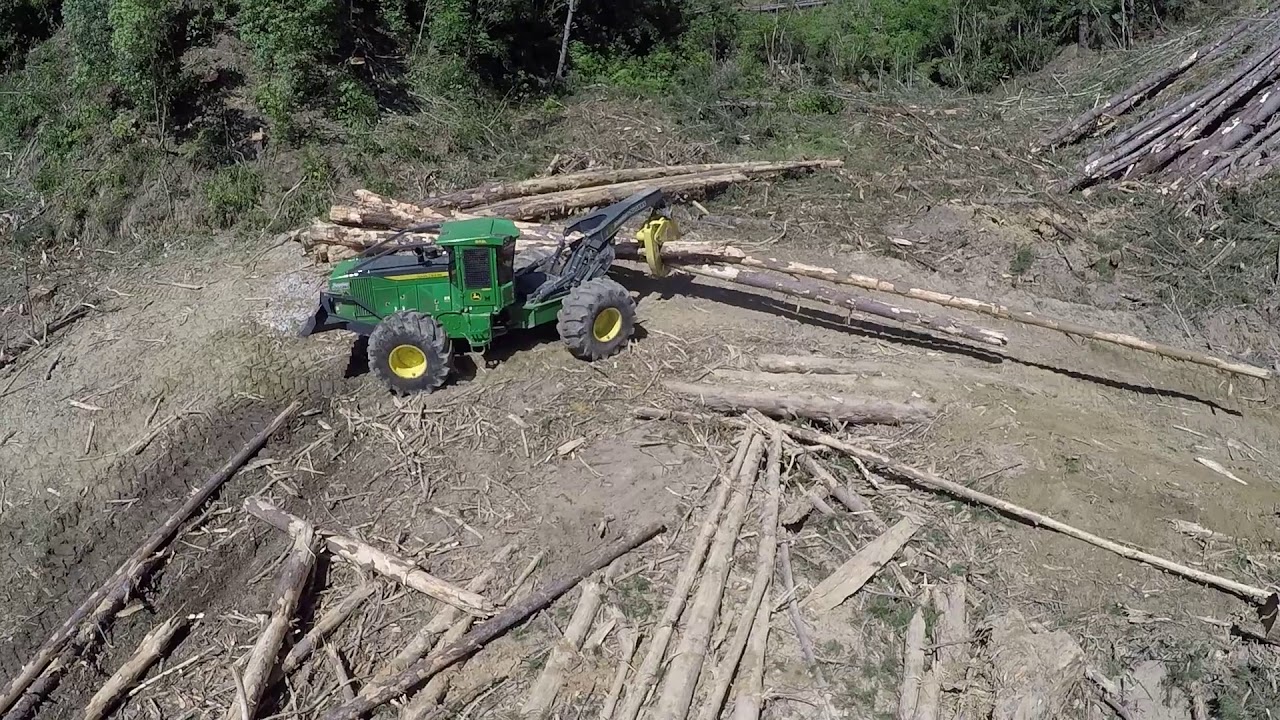 Dragging Wood, NZ Logging - Tata Beach, Tasman, NZ - YouTube