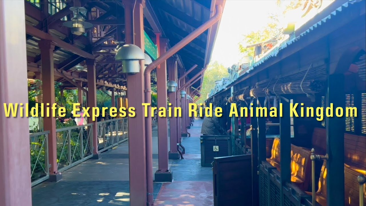 Wildlife Express Train Ride to Conservation Station! Animal Kingdom ...