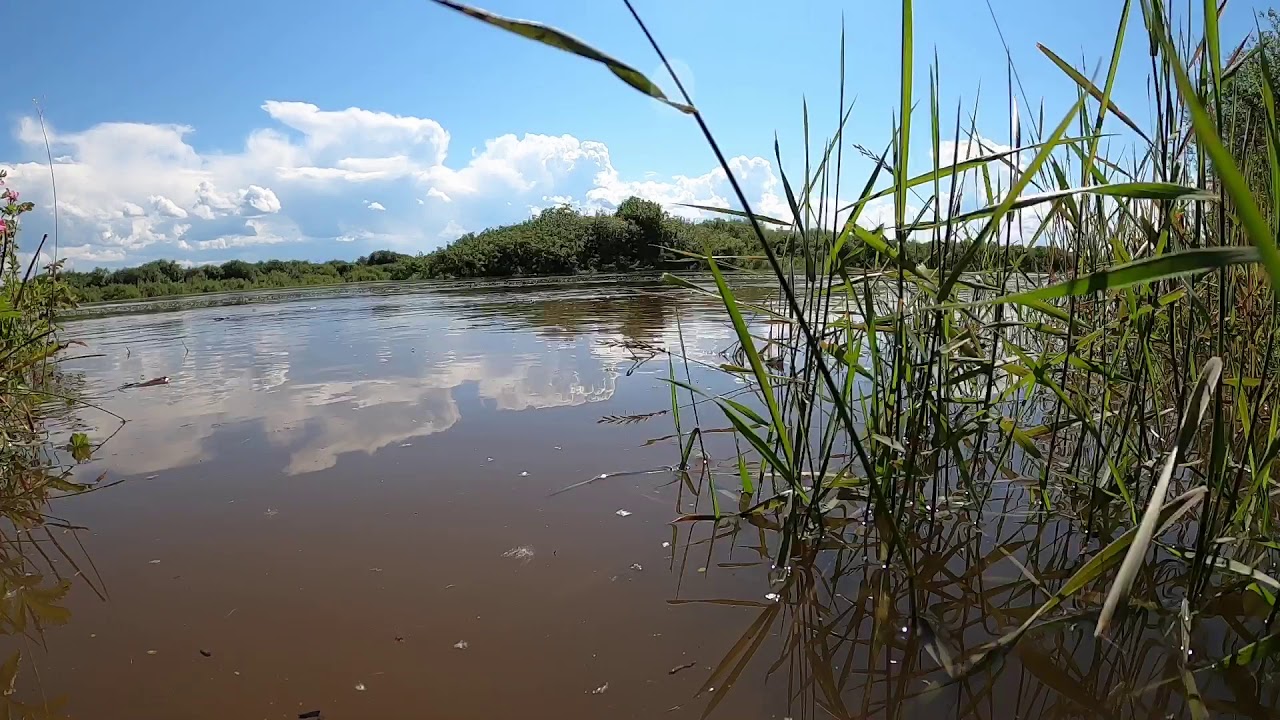 Video of the river - YouTube