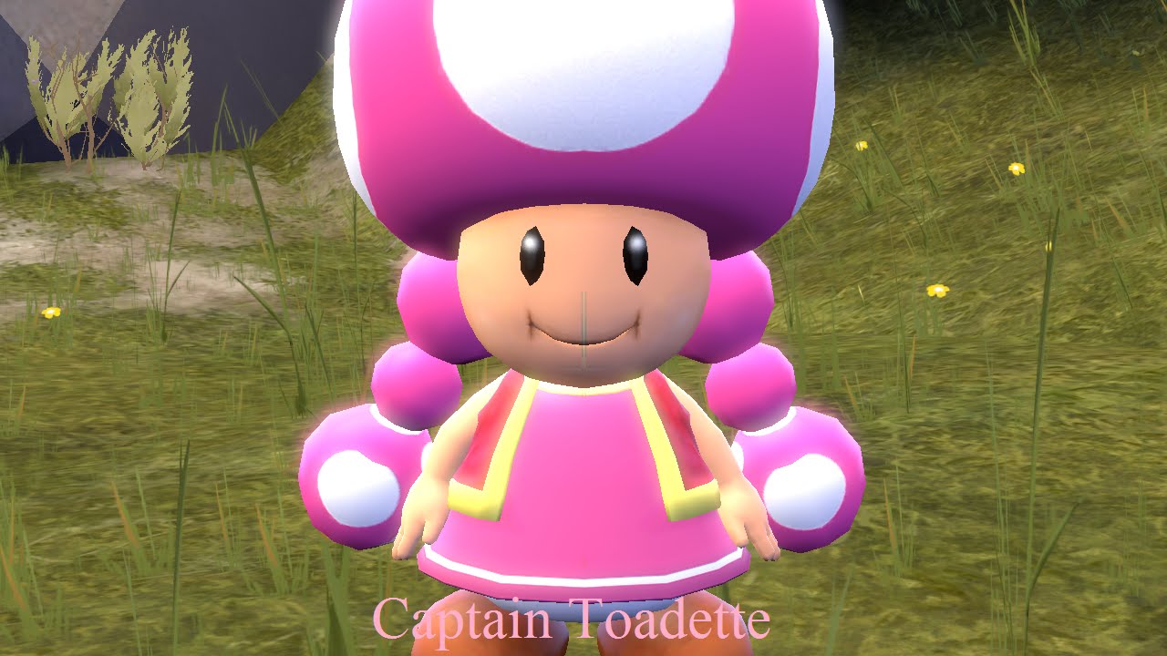 Captain Toadette episode 1 - YouTube
