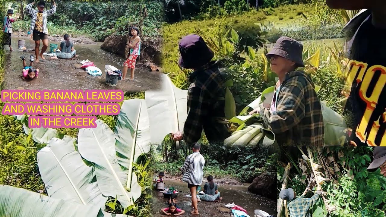 Picking and drying pakol/banana leaves for moron | Onyor tv vlog - YouTube