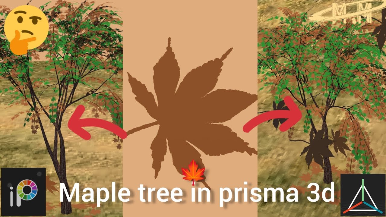 maple 🍁 tree in prisma 3D | M.M ANIMATION STUDIO | #maple #mapletrees ...