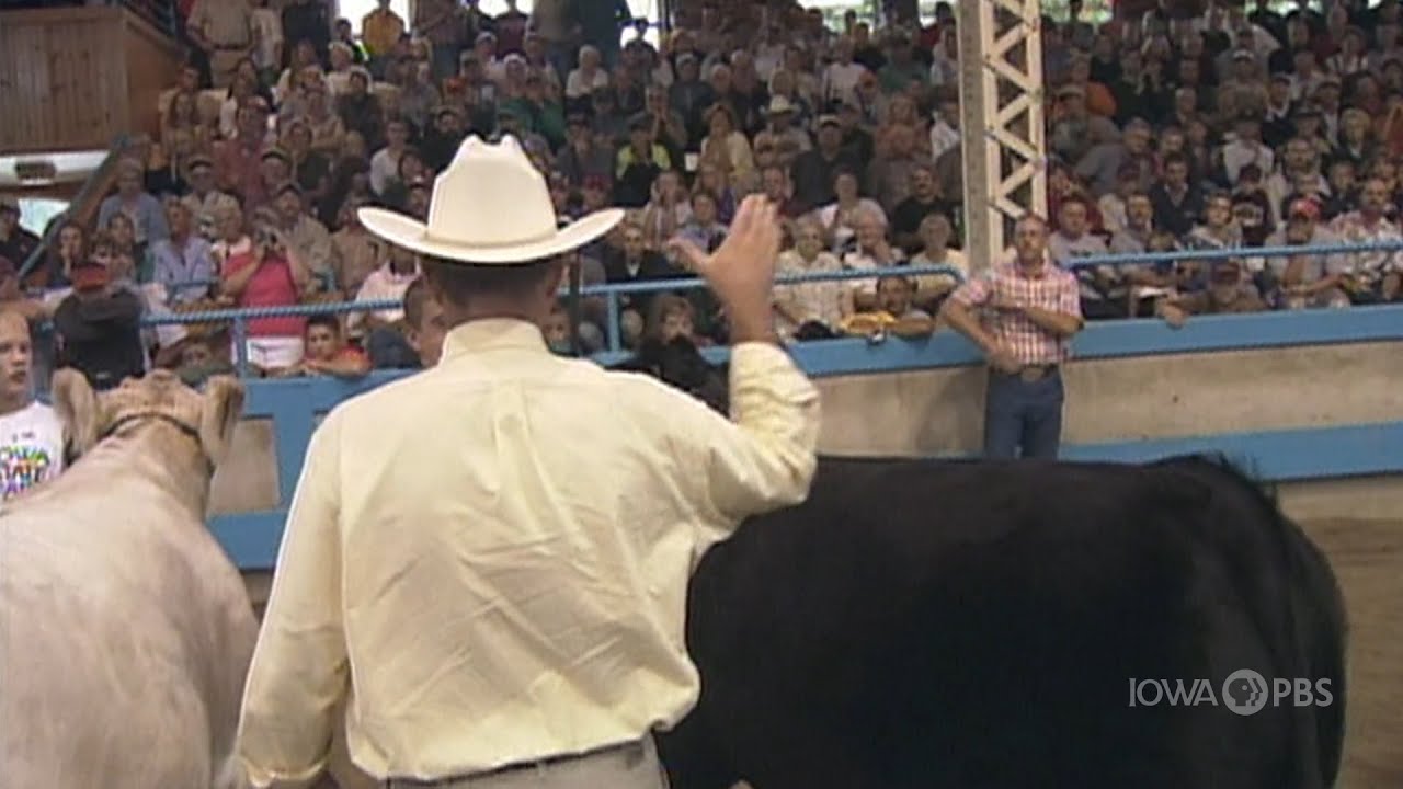Fast Forward Flashback: Grand Champion Slaps | Celebrating the Fair ...