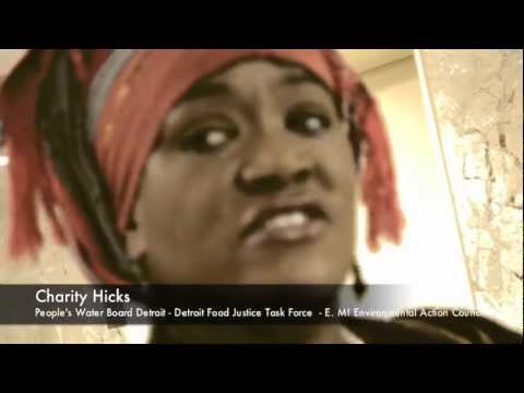 Detroit City Council - Voices from the Hallway - Charity Hicks - YouTube