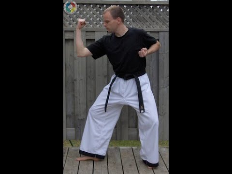 Taekwondo: Hapkido: Foundations: Downward elbow strike - side view - YouTube