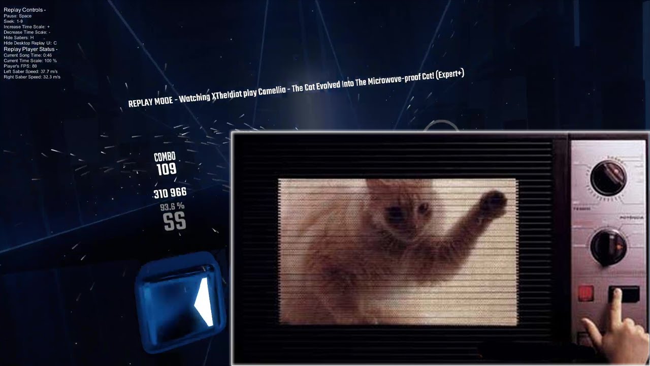 MICROWAVE-CAT!?! The Cat Evolved Into The Microwave-proof Cat ...
